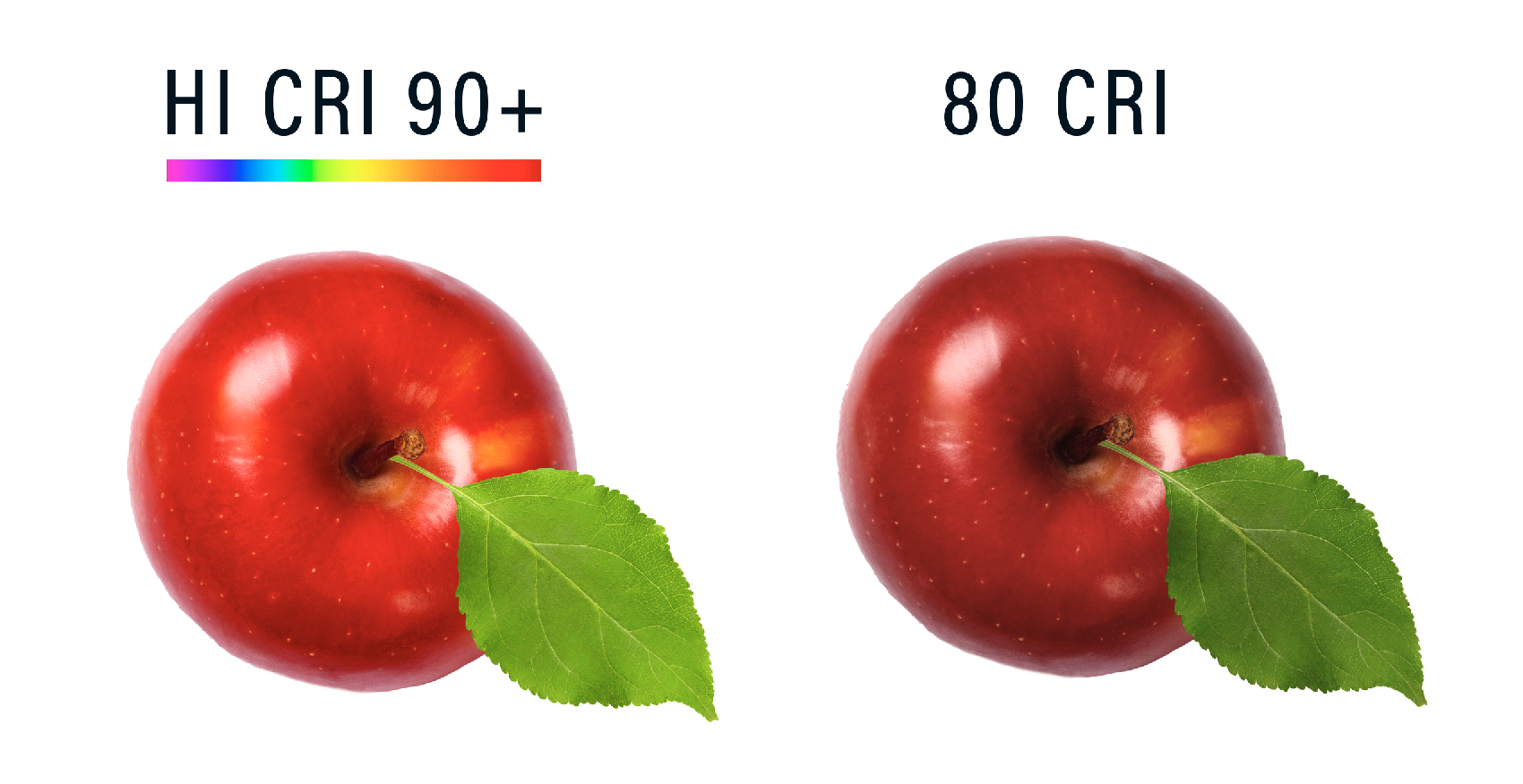 LED PAR Bulb | Essential Series | Keystone Technologies