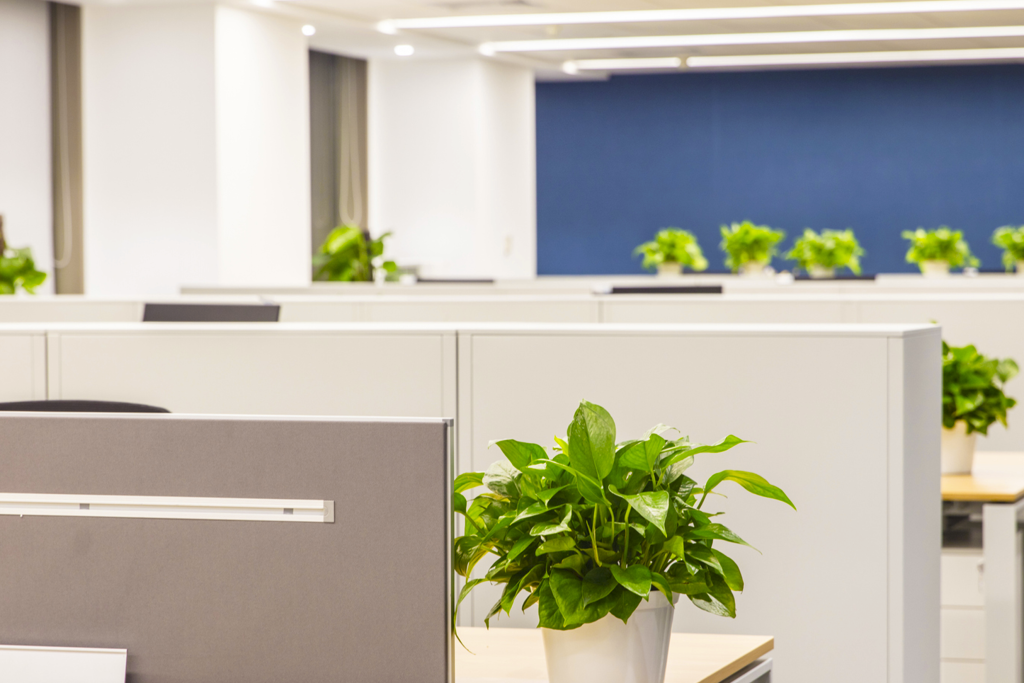 Micro LED Strip Fixture | XFit | Keystone Technologies